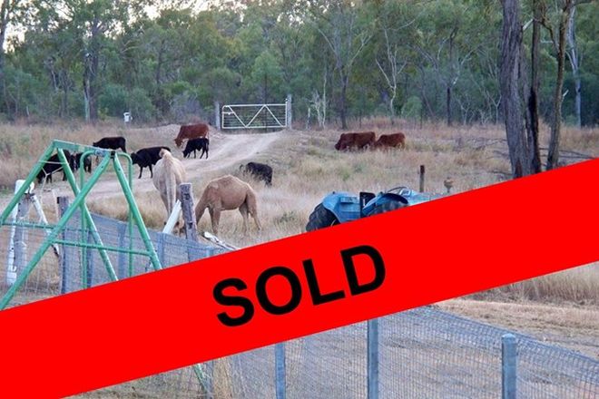 277 Real Estate Properties for Sale in Milman, QLD, 4702 | Domain