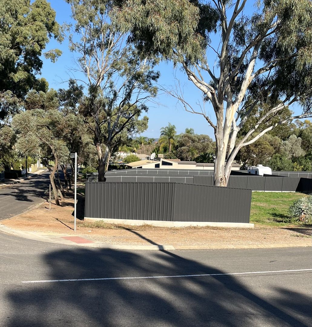 1 Panter Street, Willaston SA 5118 | Domain