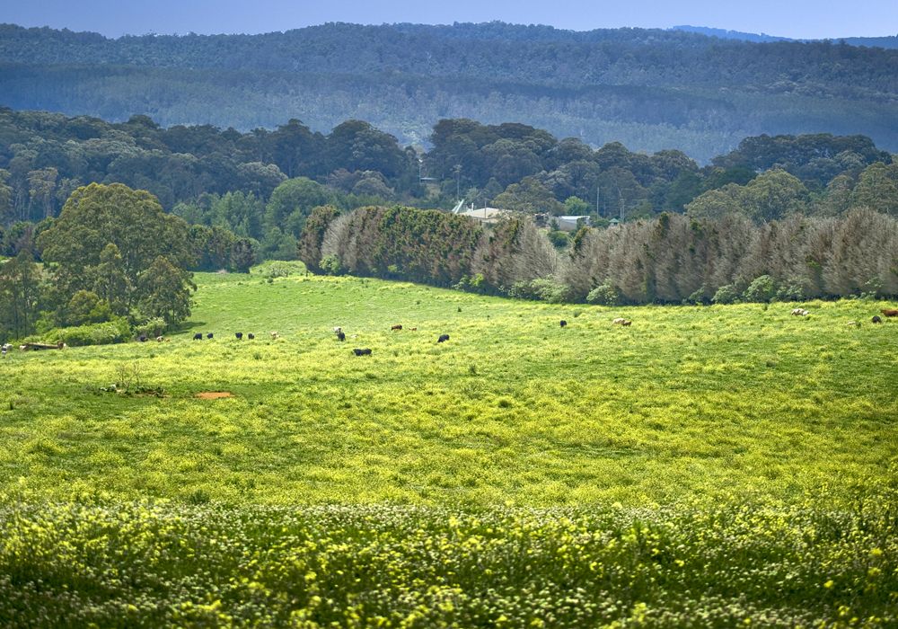 1461 Tyringham Road, Bostobrick | Property History & Address Research ...