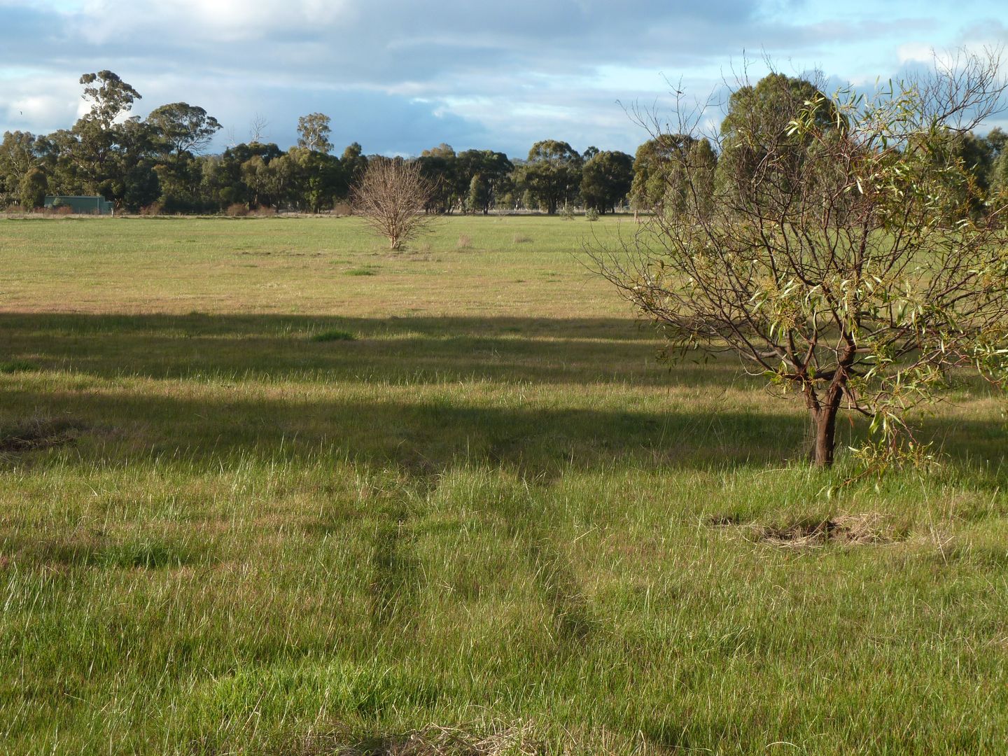 Lot 40 Calder Highway, Wedderburn VIC 3518 - House for Sale - $549,000