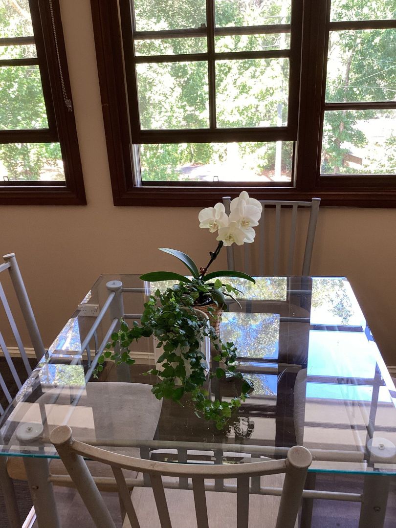 2/44 George Mobbs Drive, Castle Hill NSW 2154 - Apartment For Rent | Domain