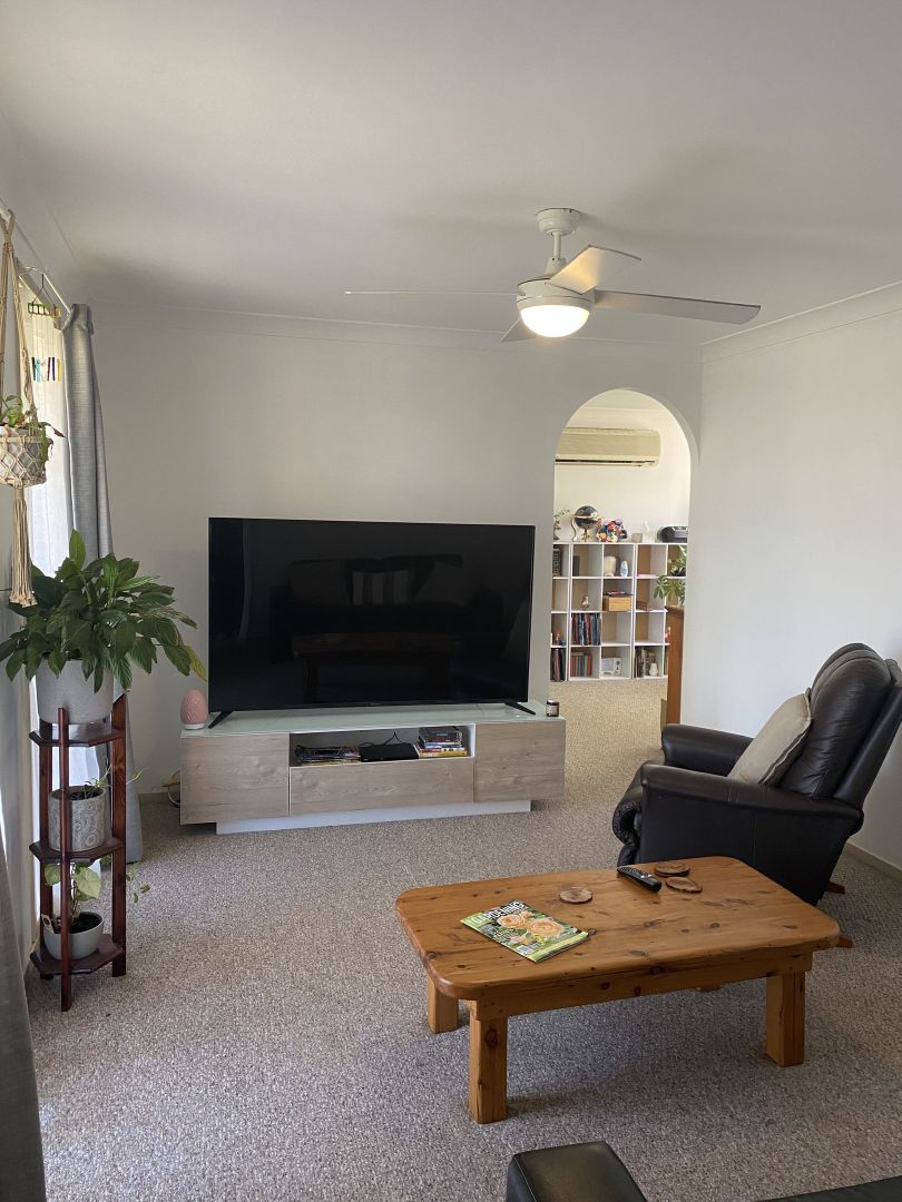 14 Rose Avenue, Singleton NSW 2330 - House For Rent - $530 | Domain