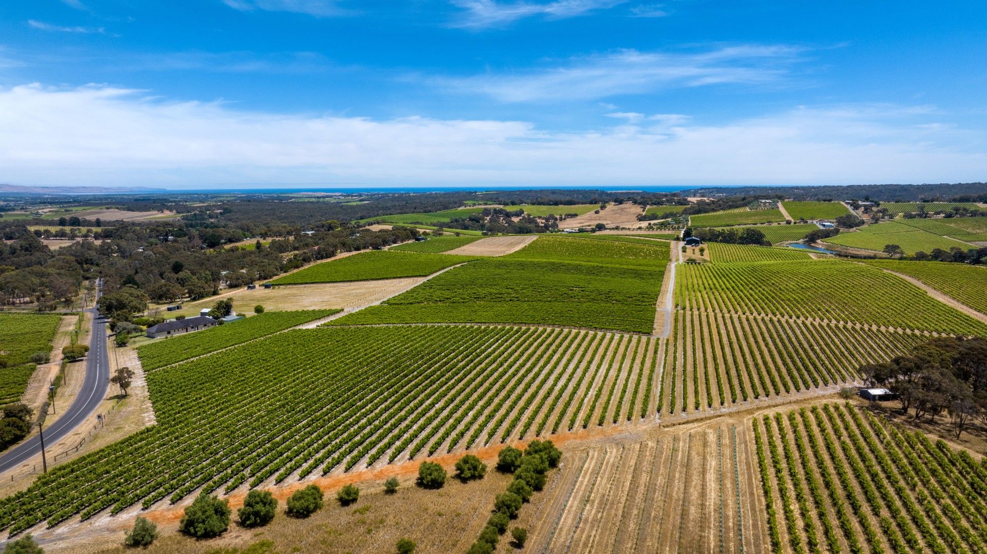 47 Ronald Road, Blewitt Springs SA 5171 - Viticulture Property for Sale