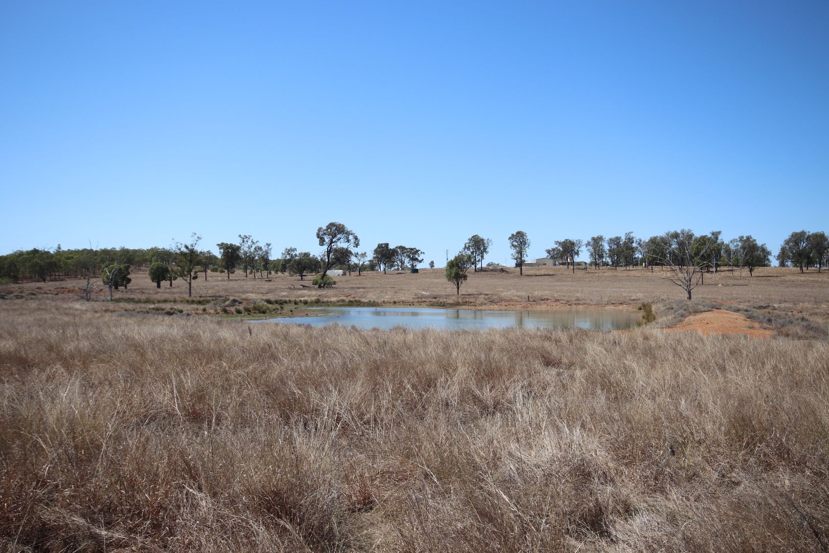 Lot 15 Benhams Road, Mundubbera QLD 4626 | Domain
