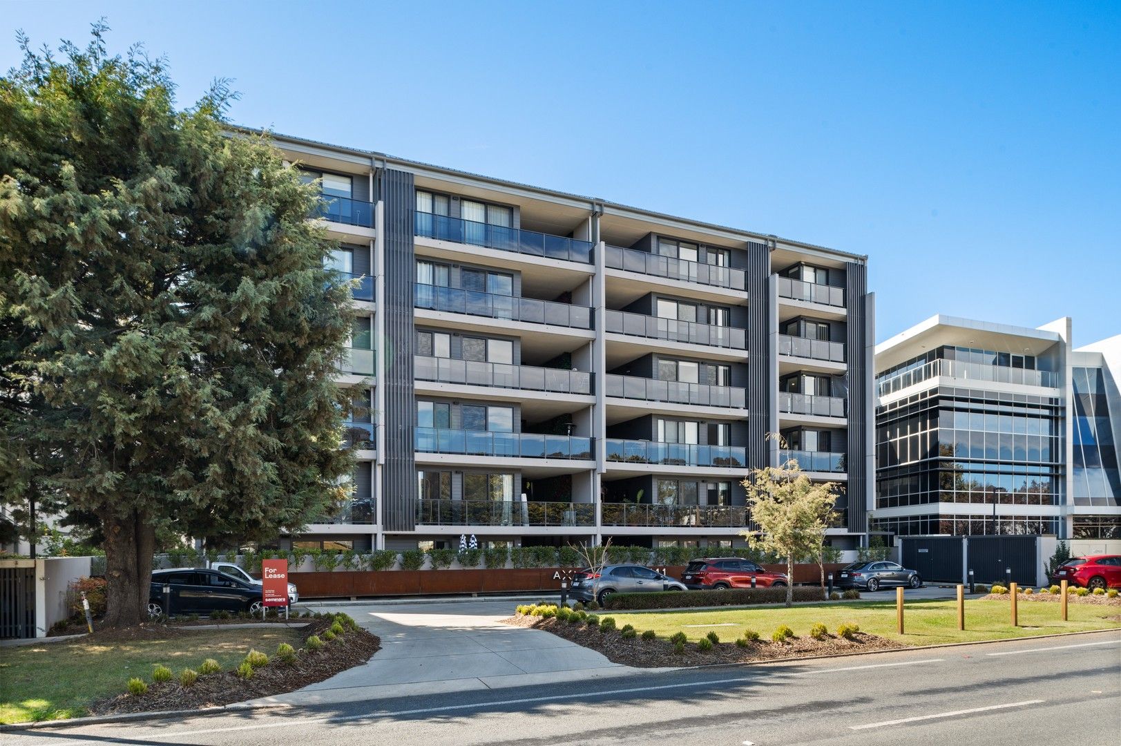 31/111 Canberra Avenue, Griffith ACT 2603 | Domain