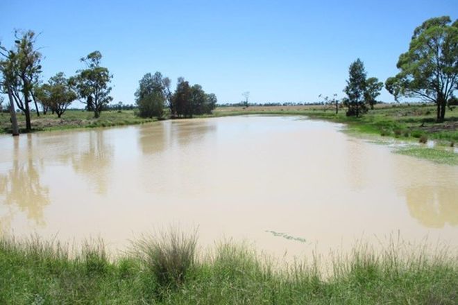 785 Real Estate Properties for Sale in Tara, QLD, 4421 | Domain