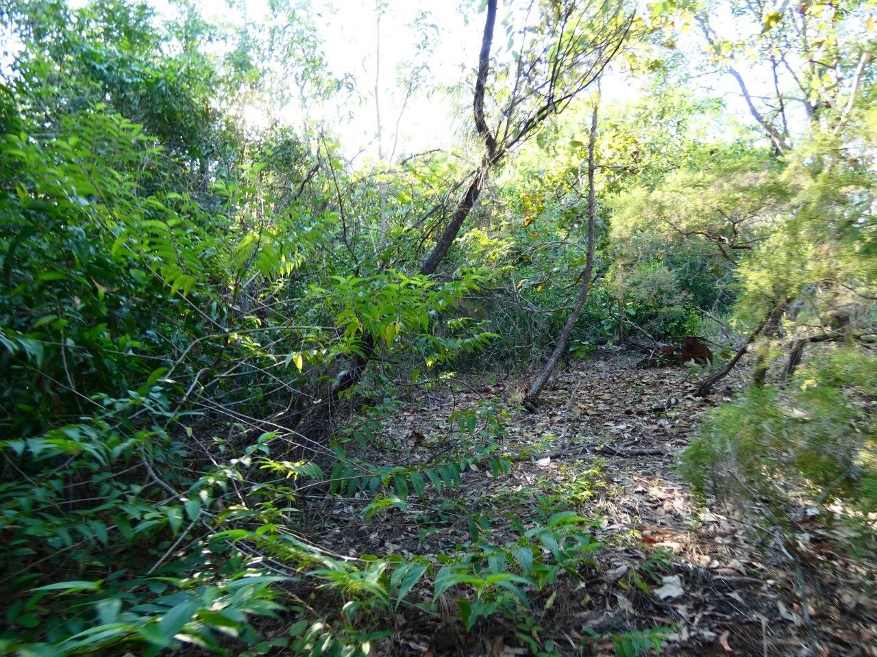 146 Andreas Avenue, Dundee Beach NT 0840 | Domain