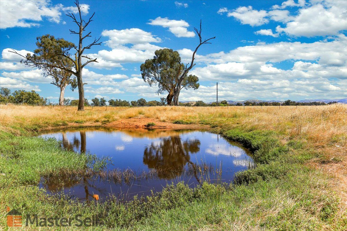 Lot 278/2204 Nangus Road, Nangus NSW 2722 - Rural Lifestyle Property ...
