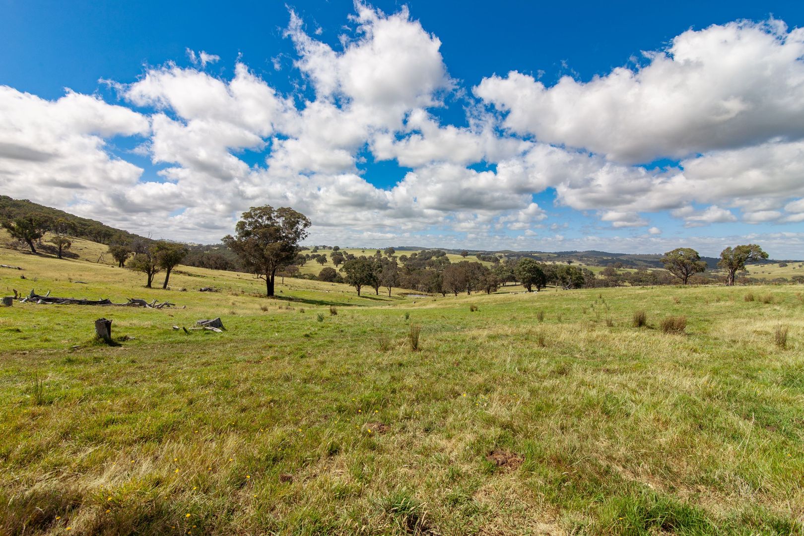 270 Mulgowrie Rd, Crookwell NSW 2583 - Vacant Land for Sale - $1,200,000