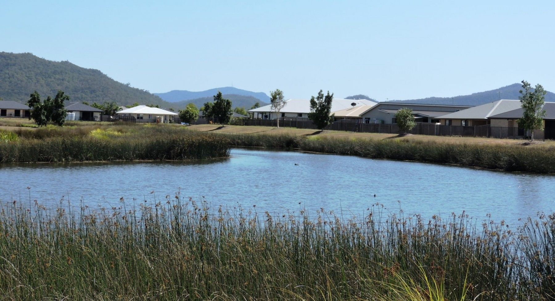 22 Nives Street, Mirani QLD 4754 | Domain