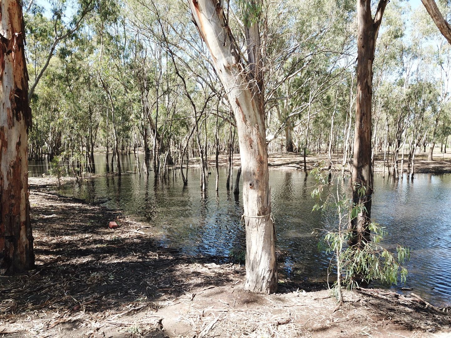 18 William Street, Bearii VIC 3641 | Domain