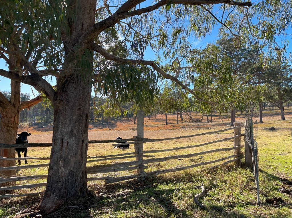 LOT/261 Hardy Road, Eukey QLD 4380 - Vacant Land for Sale - $2,250,000