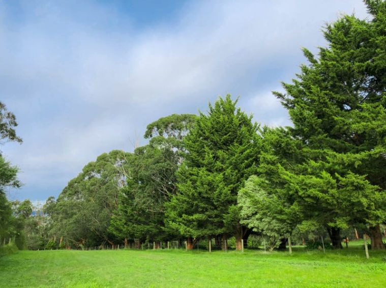 27/1 Sleeper Rise, Garfield VIC 3814 | Domain