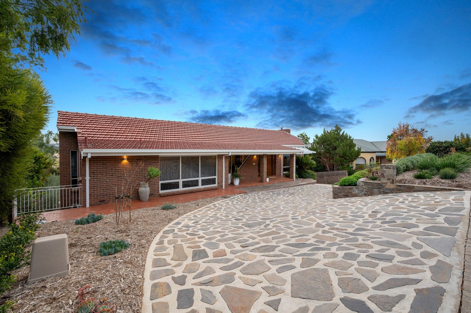 9 Wilson Court, Rosslyn Park SA 5072 | Domain