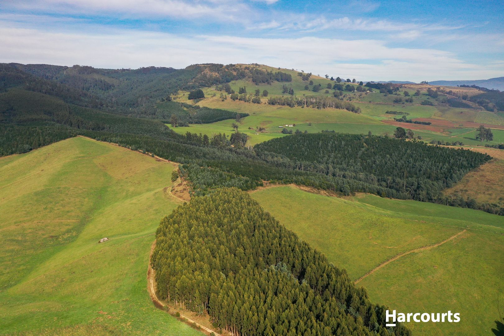 Lot 1 Pinega Road, Ringarooma TAS 7263 | Domain