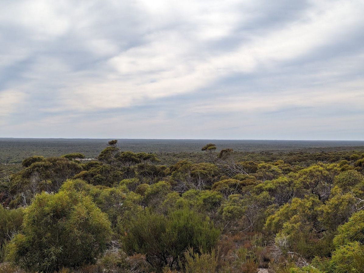 Section 56 Old Coach Road, Bramfield SA 5670 | Domain