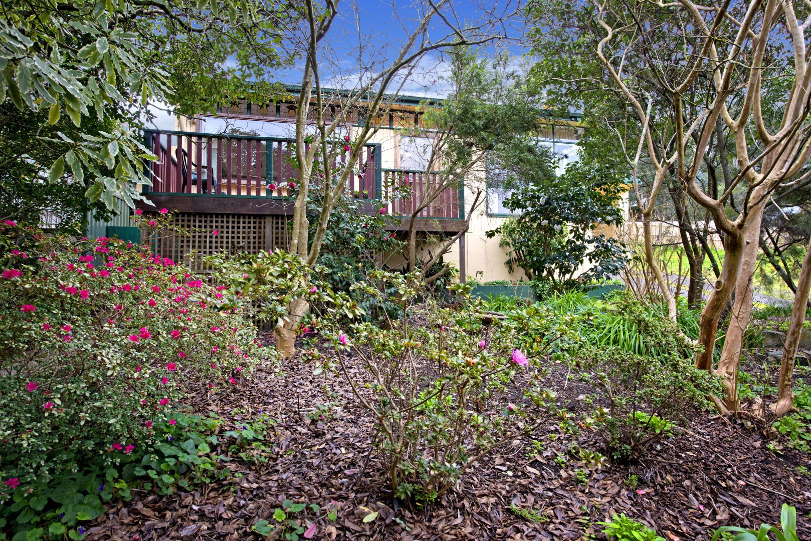 13 Elsa Court, Eltham | Property History & Address Research | Domain