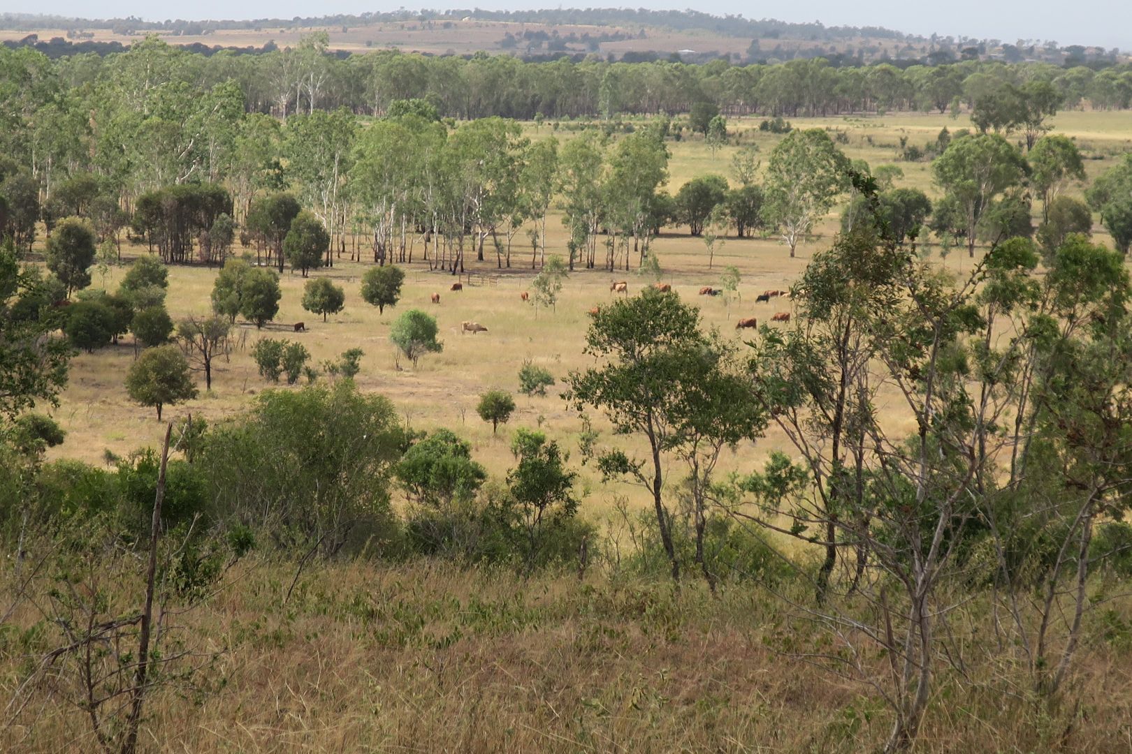 557 Bishop Road, Garnant | Property History & Address Research | Domain