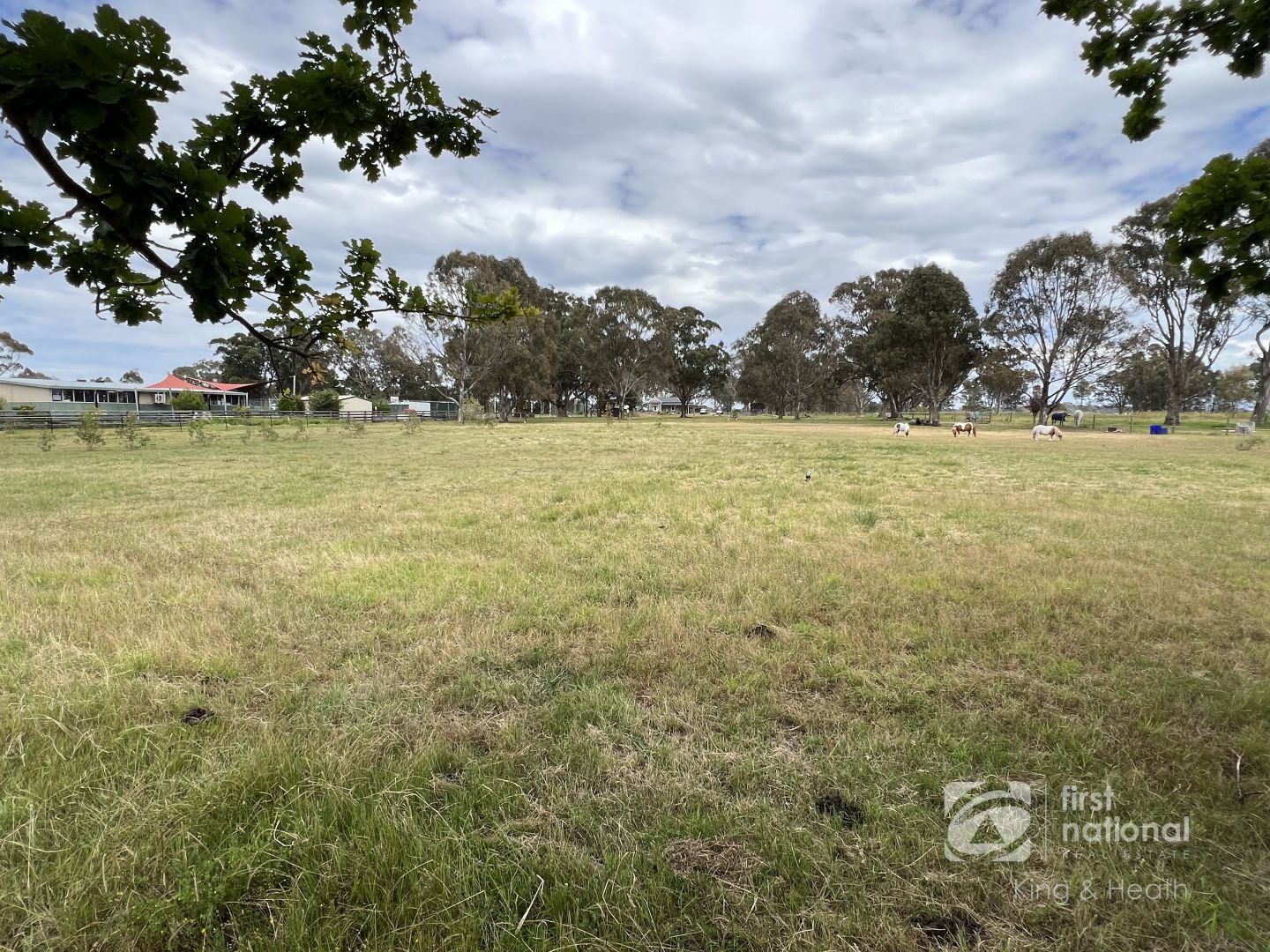 Lot 1, 615 Lindenow-Glenaladale Road, Lindenow South VIC 3875 | Domain