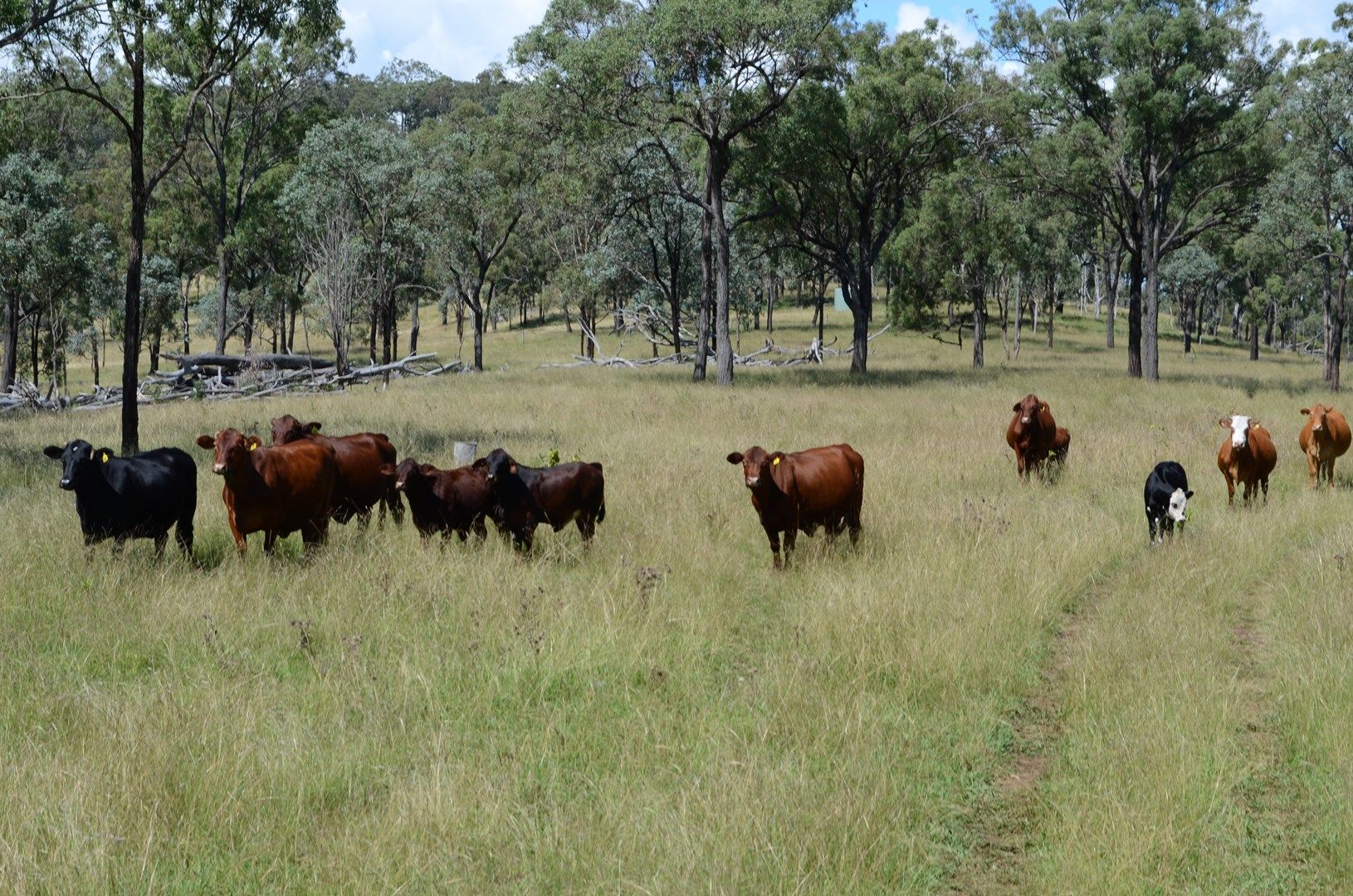 988 Pilton Valley Road, Upper Pilton | Property History & Address ...