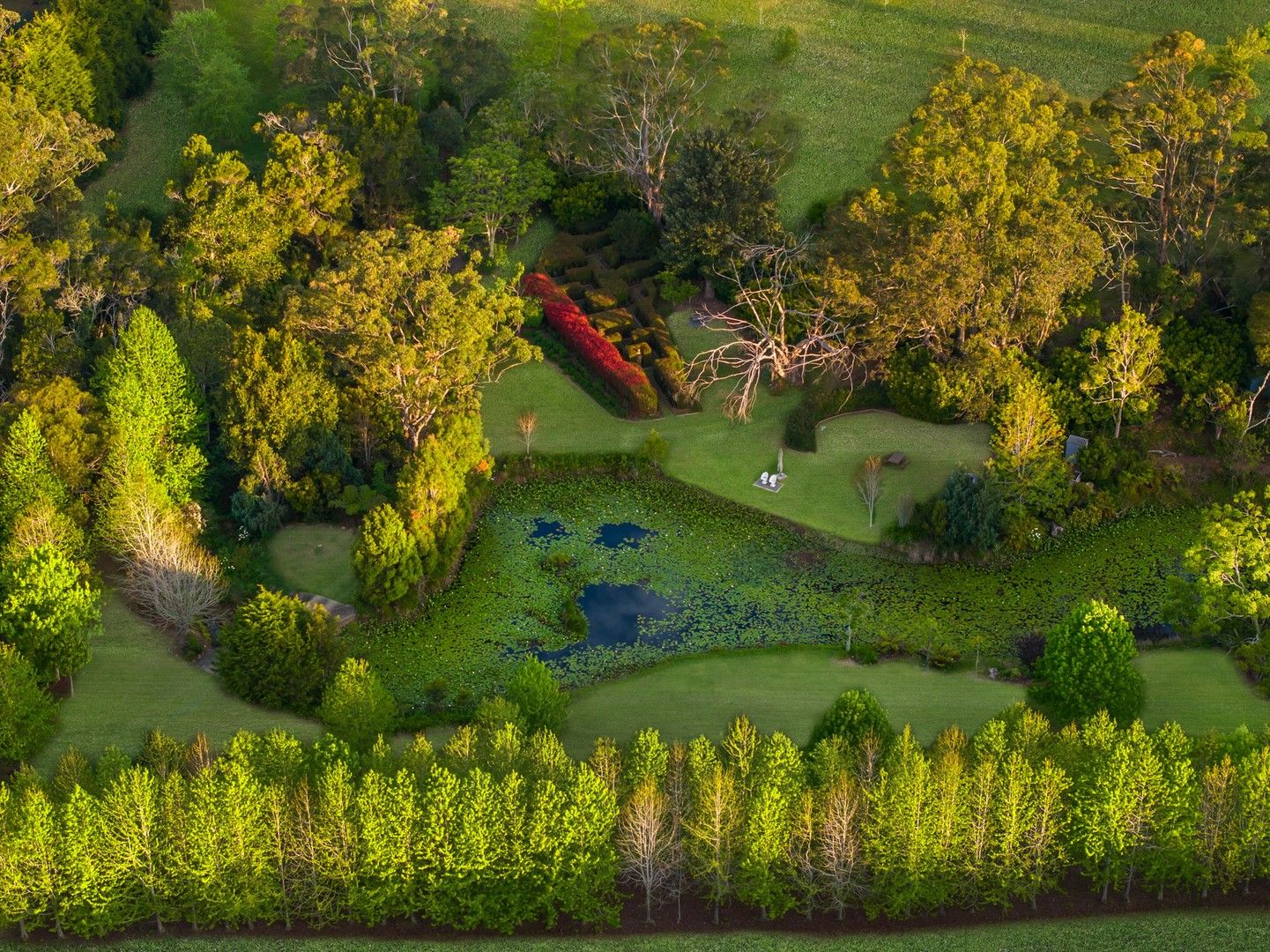 2324 Springbrook Road, Springbrook QLD 4213 - Vacant Land for Sale