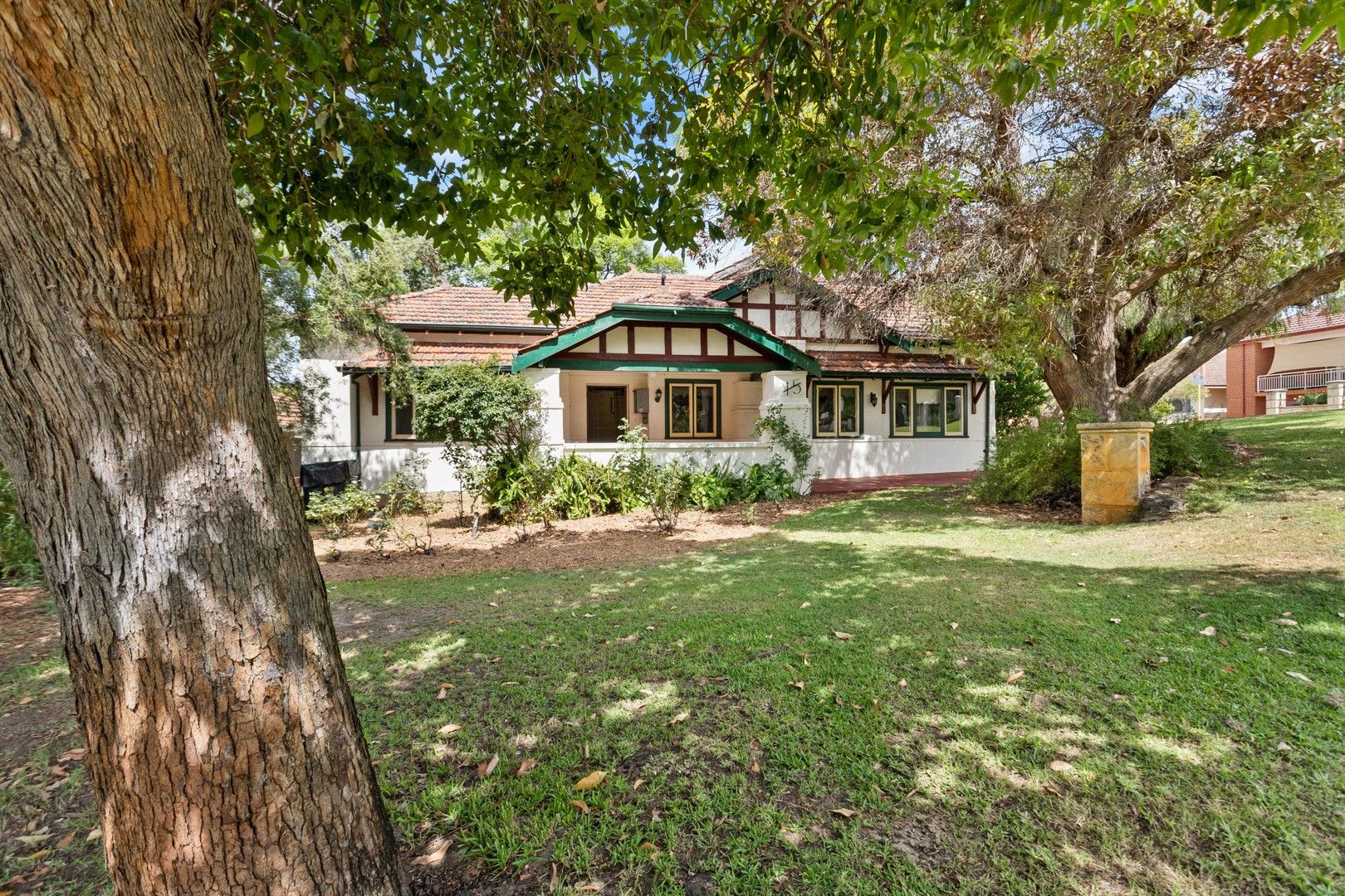 15 Robin Street, Menora WA 6050 | Domain