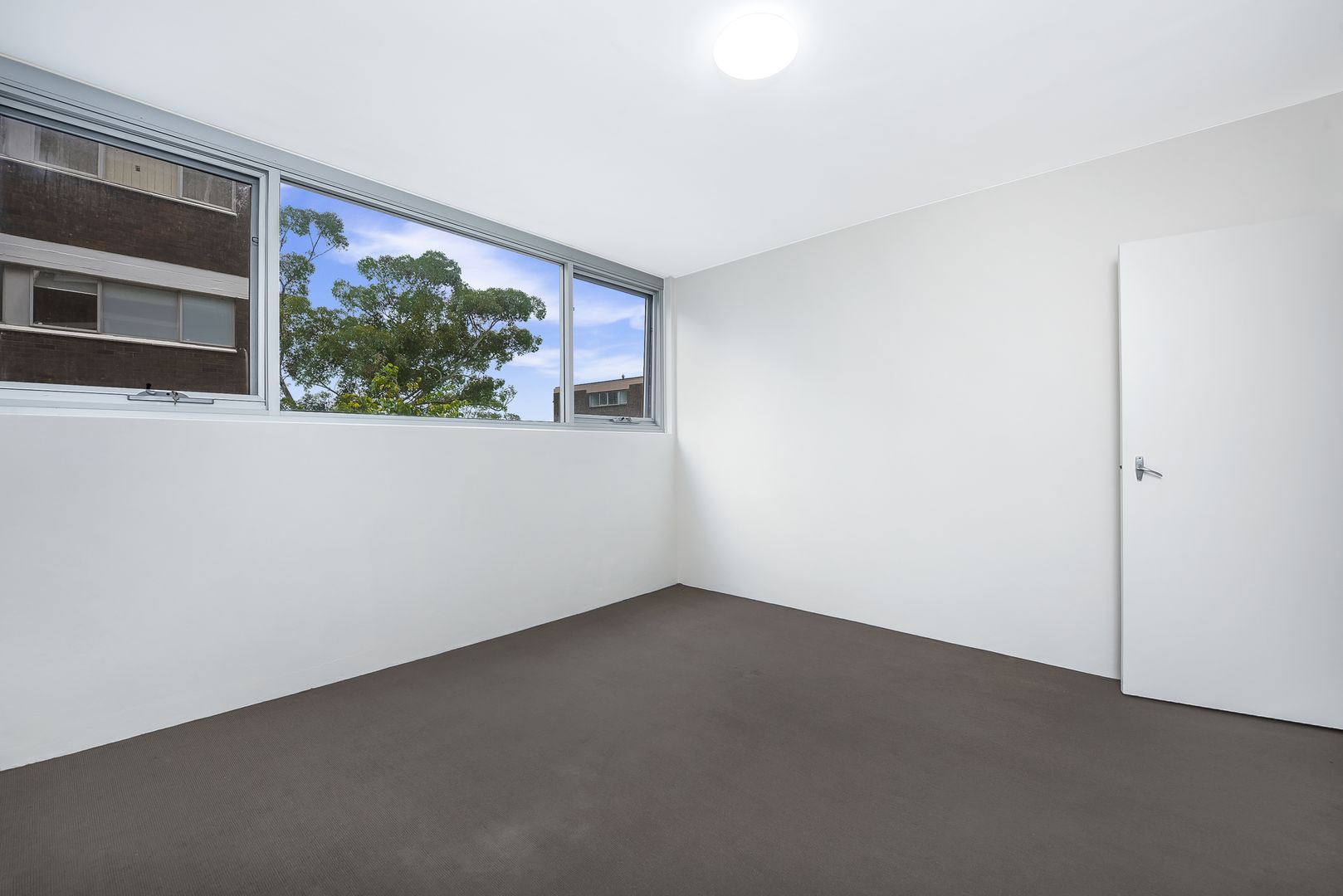 1a/83 Homer Street, Earlwood NSW 2206 - Apartment For Rent - $700 | Domain