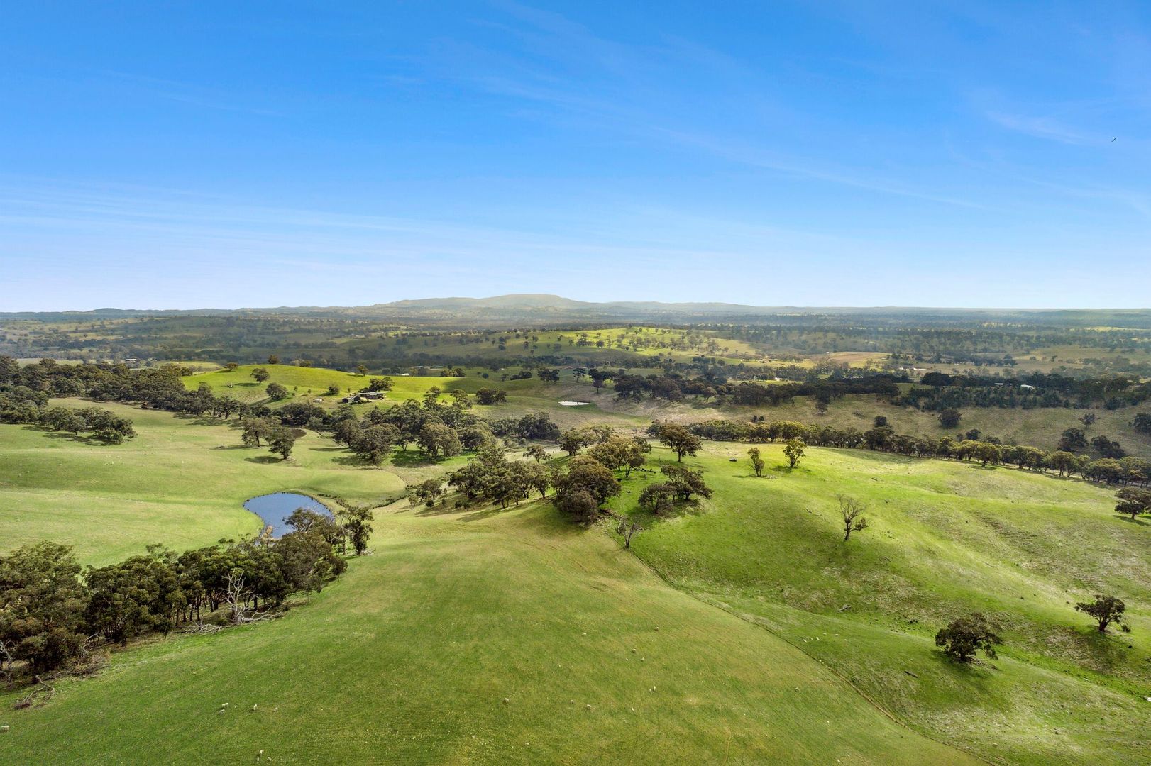 679 Dallistons Road, Barfold VIC 3444 | Domain