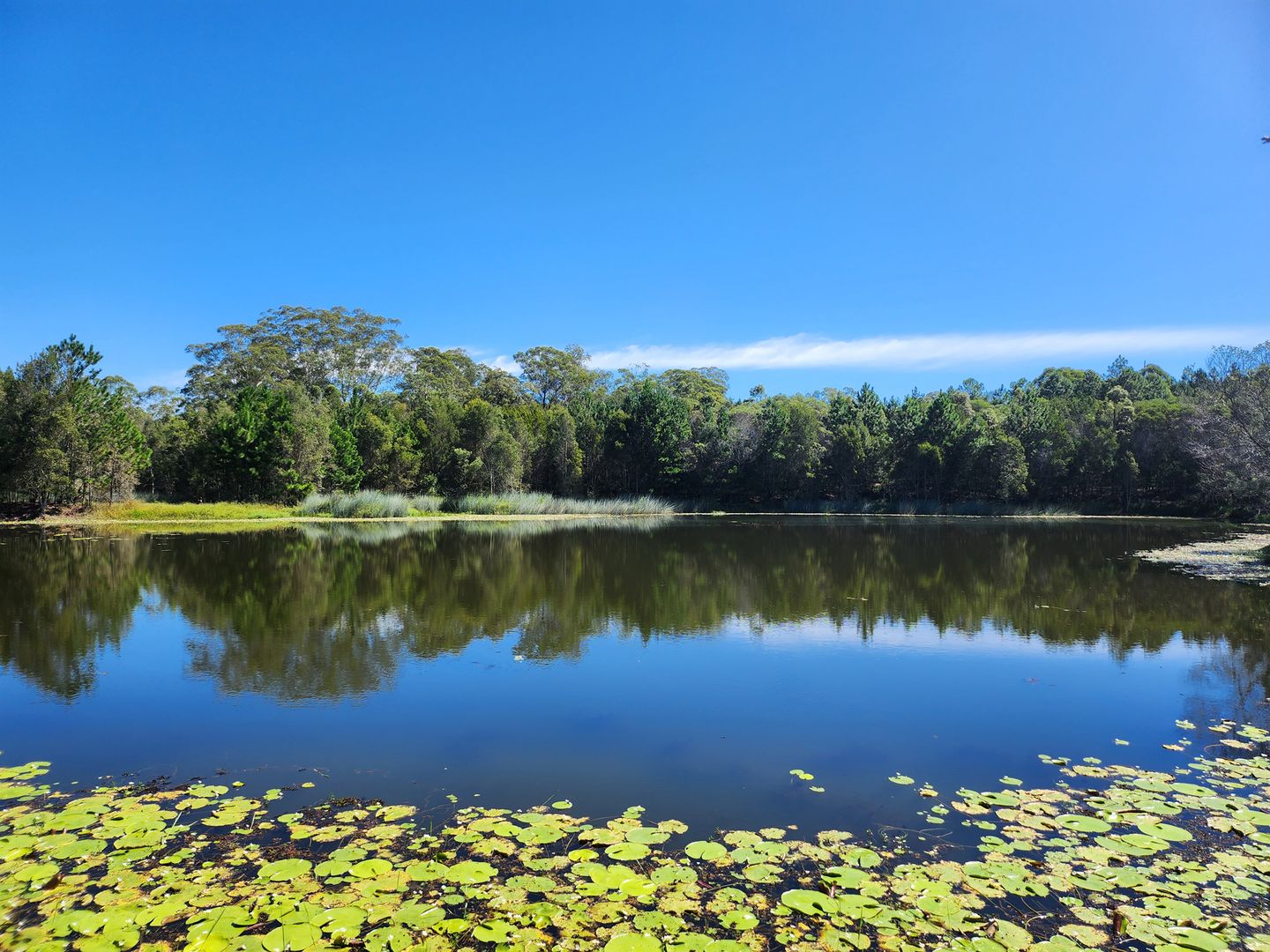 110-158 Whittington Road, Wamuran QLD 4512 - Farm for Sale | Domain