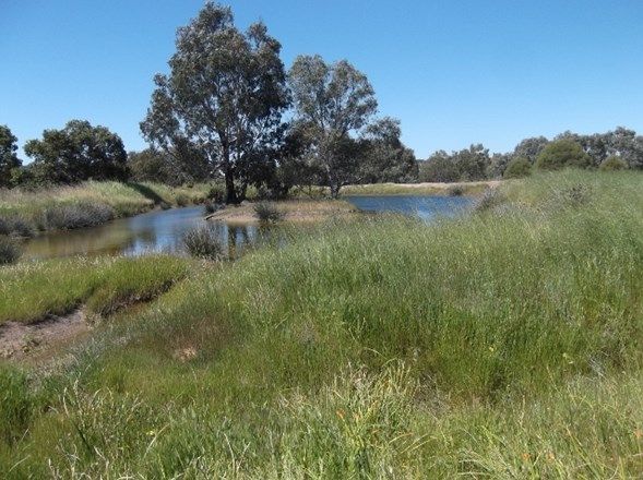 Sold Lot 23 Chitty Road, Bakers Hill WA 6562 on 17 Dec 2019 ...