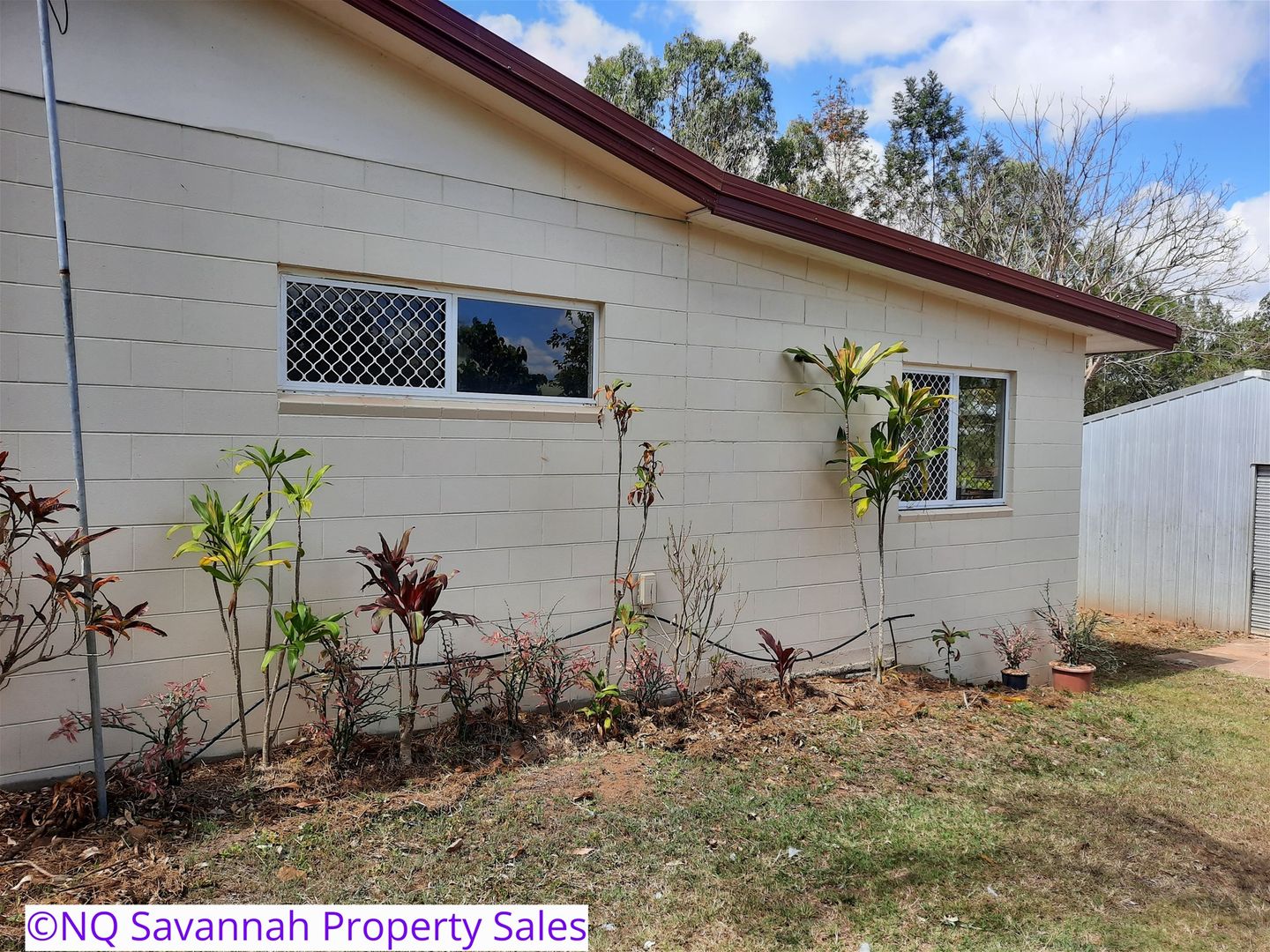 3 Lucey Street, Mount Garnet QLD 4872 | Domain