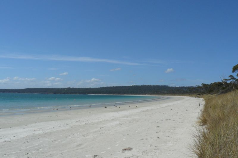 115 Sloping Main Drive, Sloping Main | Property History & Address ...