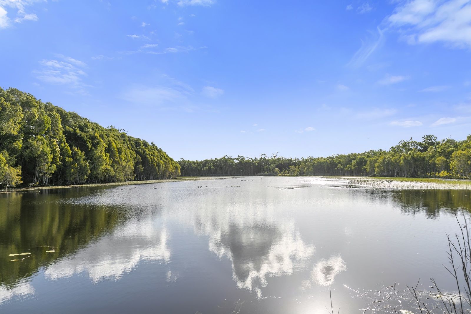 Lot 2811 Cattail Street, Caboolture QLD 4510 | Domain