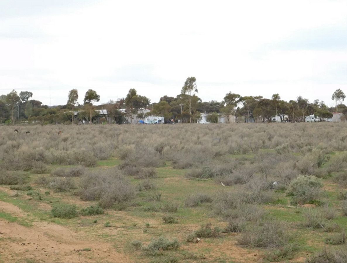 322 Three Chain Road, Risdon Park SA 5540 | Domain