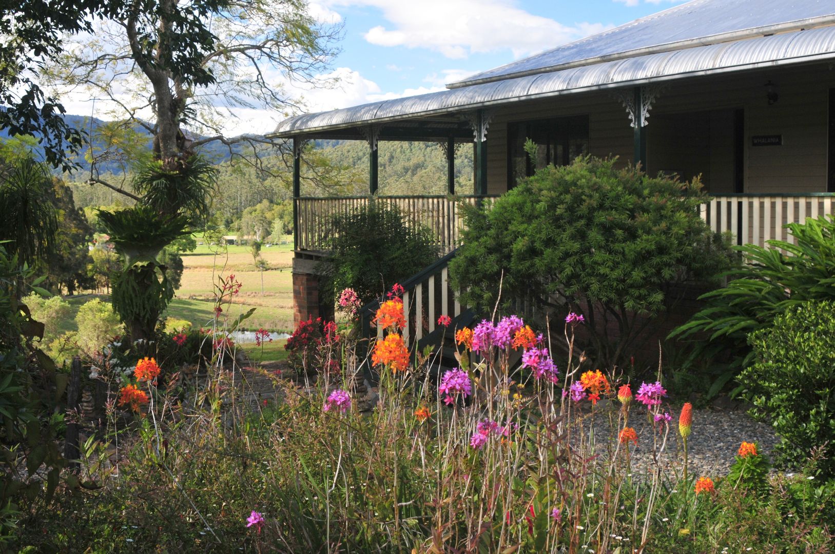 1694 Comboyne Road, Killabakh NSW 2429 | Domain