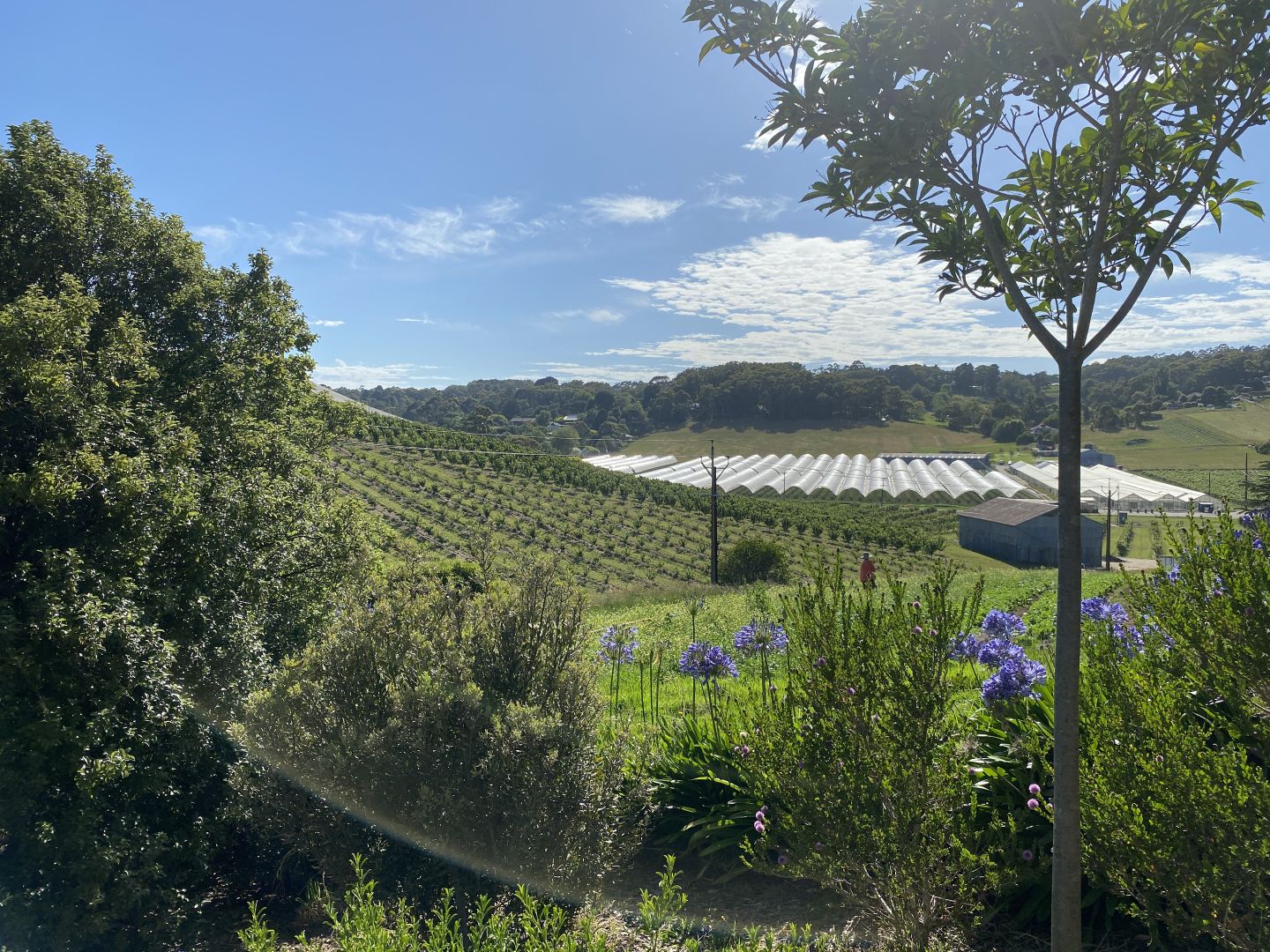 17 Basin Road, Uraidla SA 5142 - House For Rent | Domain