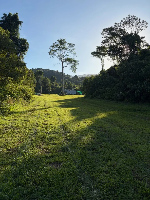 252 Jackson Road, Shell Pocket QLD 4855 - House for Sale - $1,200,000