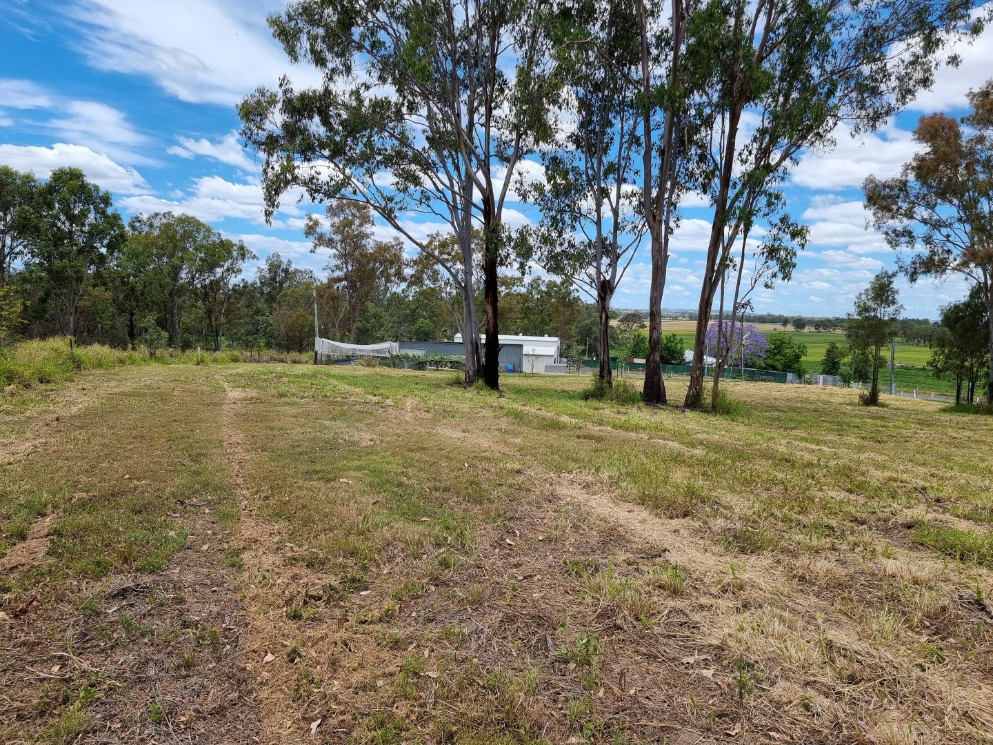 12 Long Dr, Monto QLD 4630 | Domain