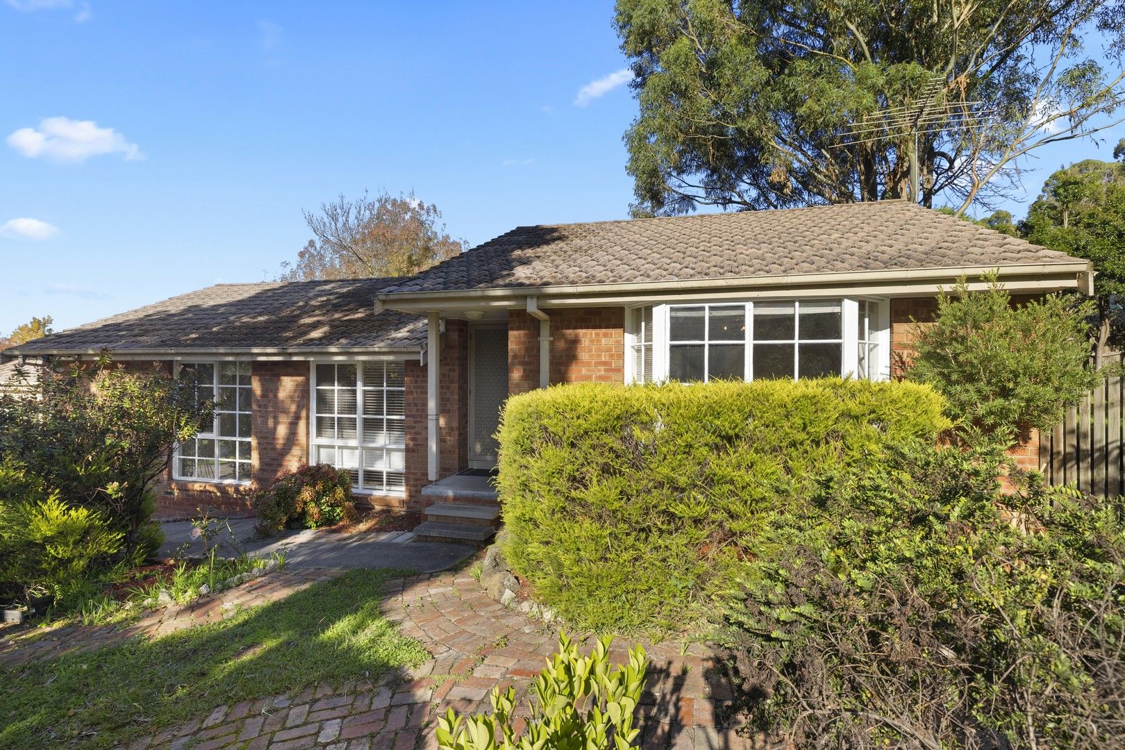 5 Elizabeth Street, Ferntree Gully VIC 3156 - House For Rent - $620 ...