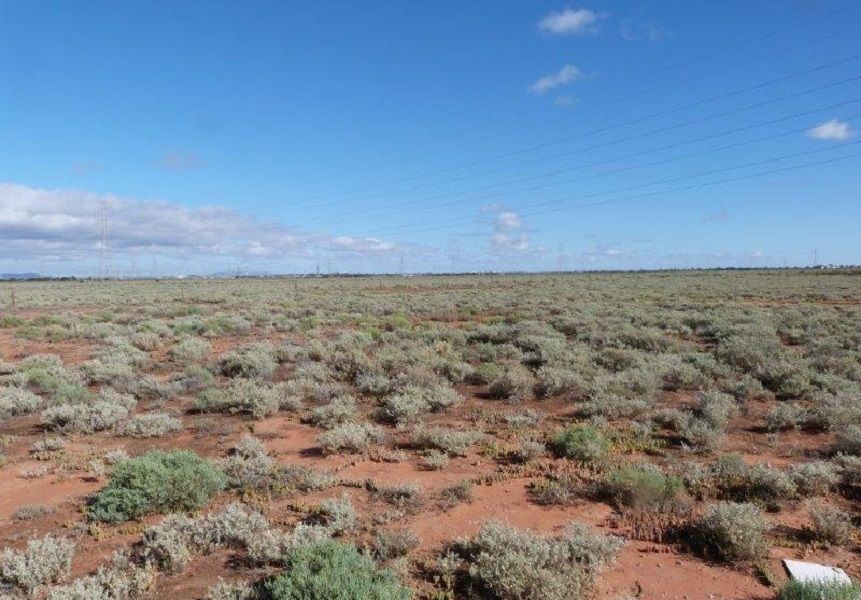 21 Warner Drive, Port Paterso | Property History & Address Research ...