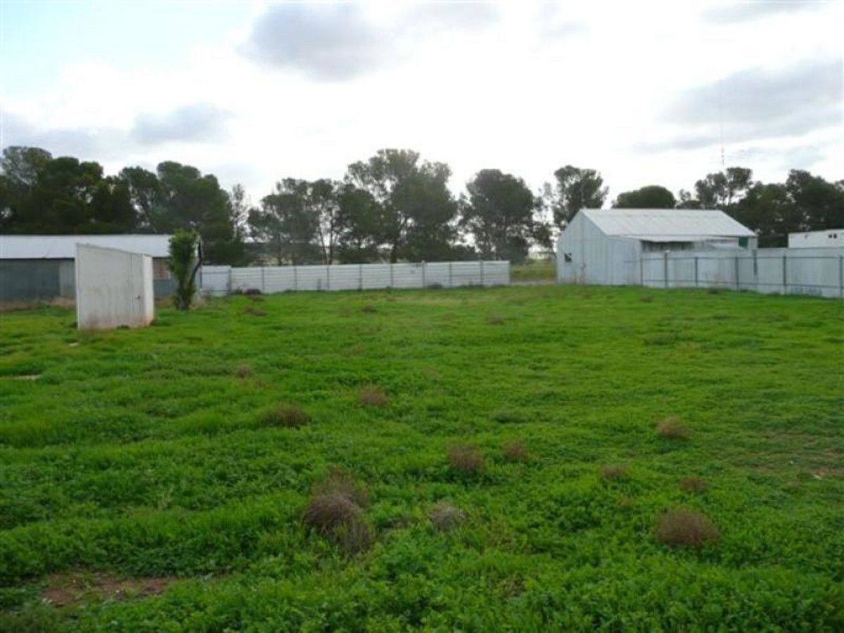 3/8 West Terrace, Snowtown SA 5520 | Domain