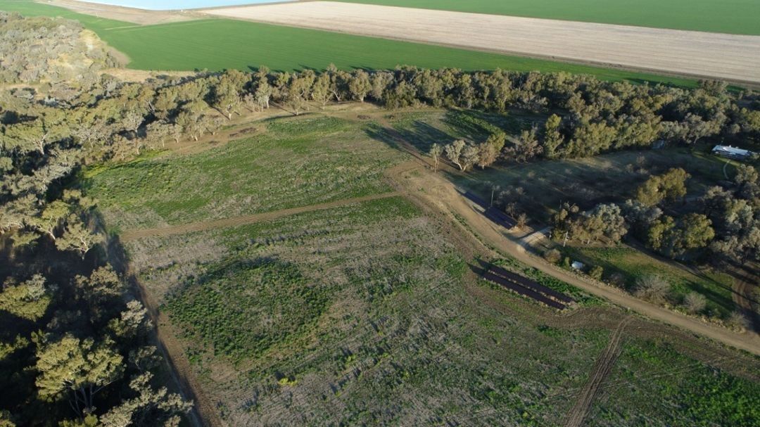 Milray Pocket, Bendygleet Road, Moree NSW 2400 | Domain