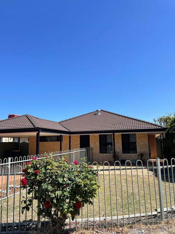 19 Ficifolia Terrace, Jane Brook WA 6056 - House For Rent - $750 | Domain