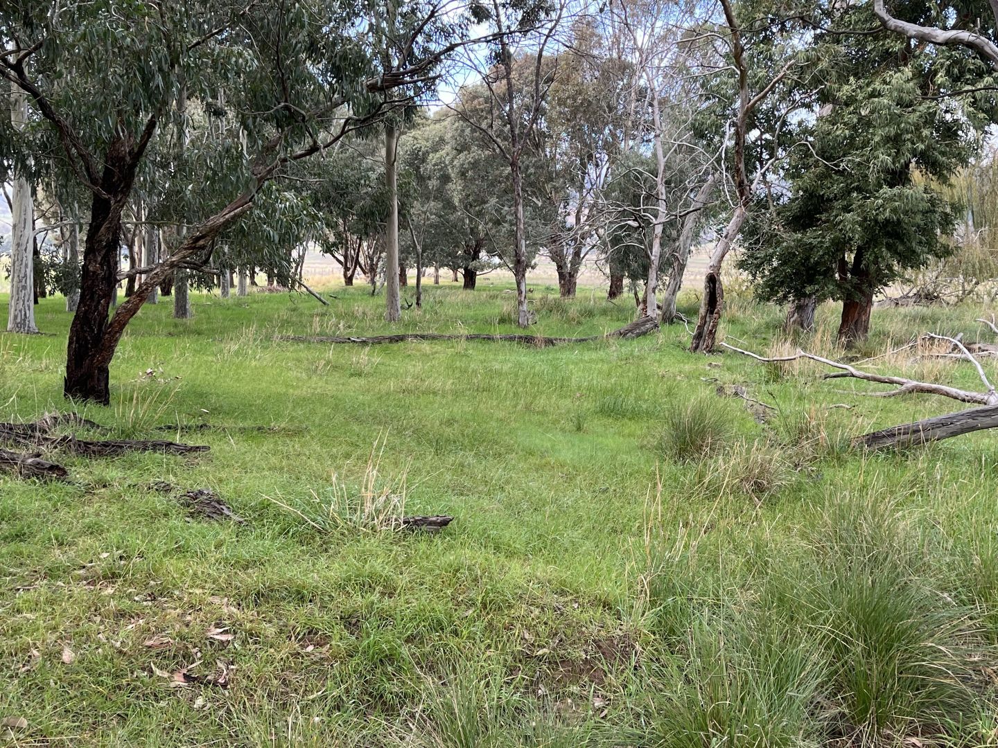 894 Coach Road, Culcairn NSW 2660 - House for Sale | Domain