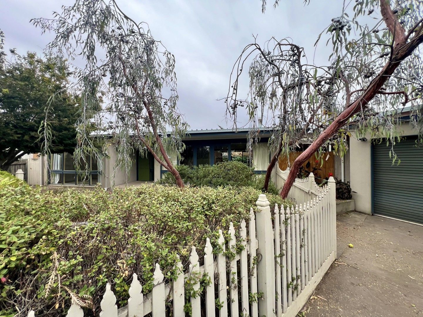 12 Edith Court, Belmont VIC 3216 - House For Rent - $490 | Domain