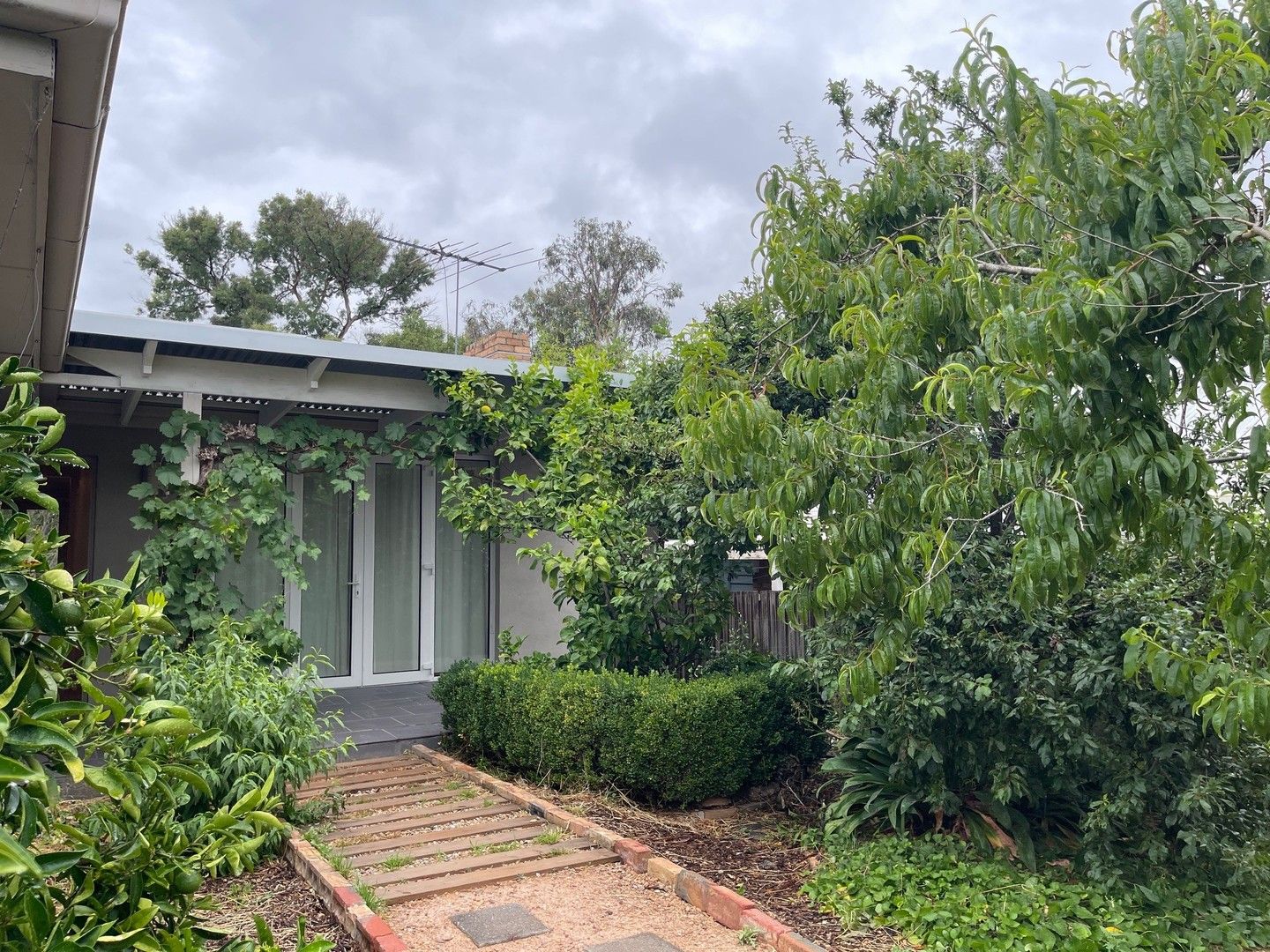 6A Stott Street, Box Hill South VIC 3128 - House For Rent | Domain