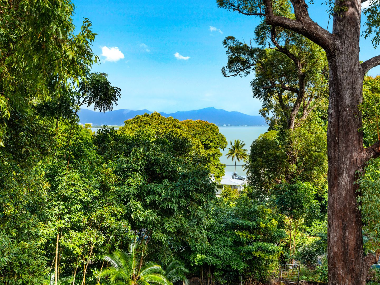 2412 Pine Creek Yarrabah Road, East Trinity QLD 4871 | Domain