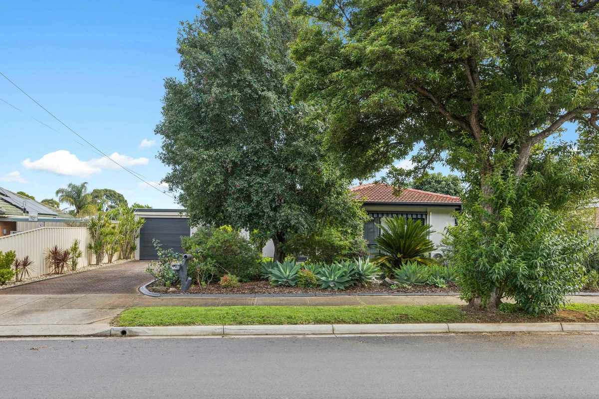 19 Terama Street, Gepps Cross SA 5094 | Domain