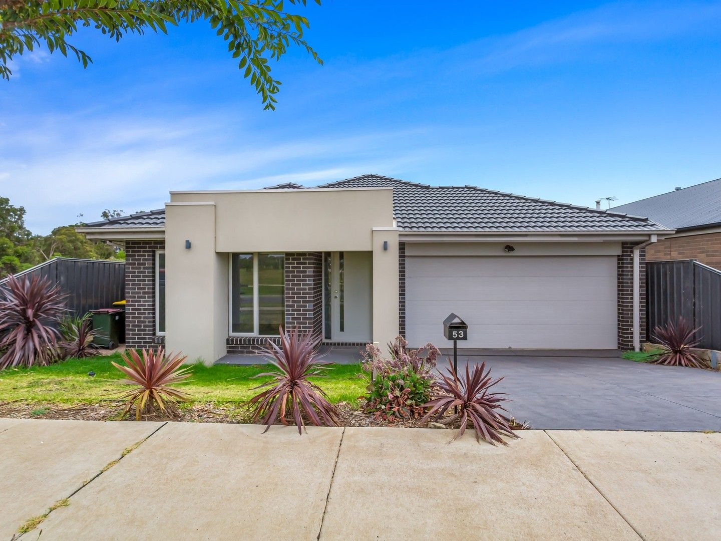 53 Kane Drive, St Leonards VIC 3223 - House For Rent | Domain