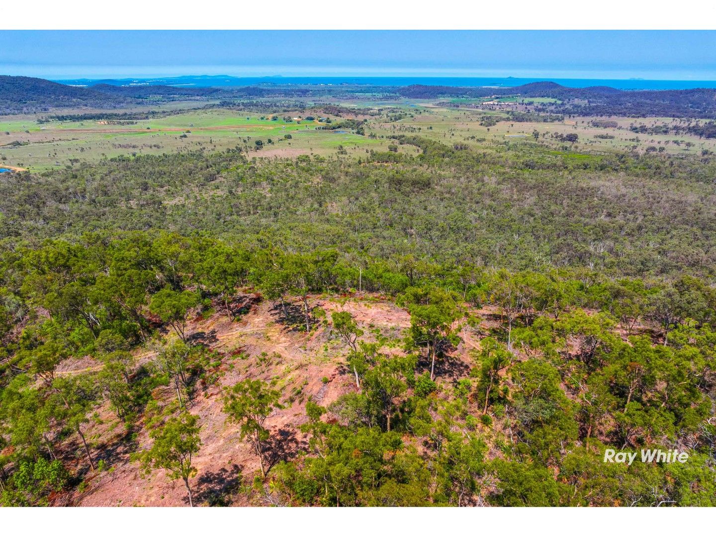 Lot 1010 Broadmount Road, Nankin QLD 4701 - Specialist Farm for Sale